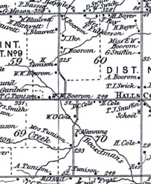 Town Of Covert, NY